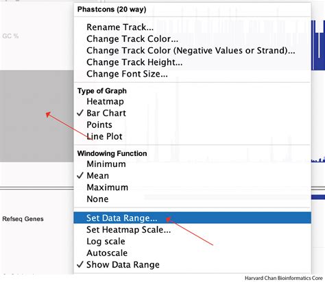 Integrative Genomics Viewer Variant Analysis