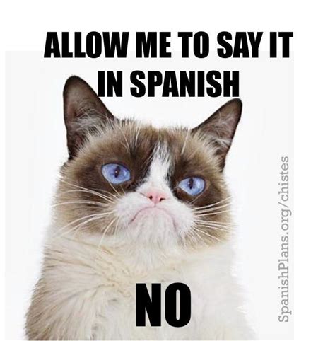 Pin By Michelle Hartman On Gods Creatures But Mostly Cats Spanish
