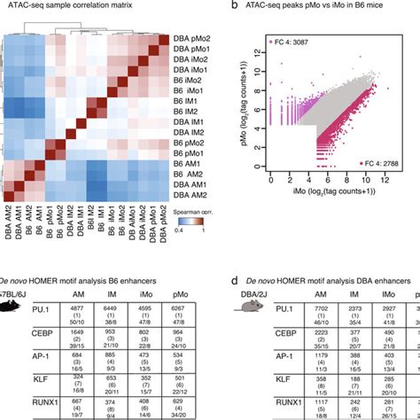 Single Cell RNA Seq Clusters FACS Sorting Strategy And Quality Control Download Scientific