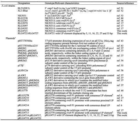 Up Element Dependent Transcription At The Escherichia Coli Rrnb P1