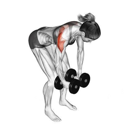 Dumbbell Rear Delt Fly How To Do Muscle Worked Tips