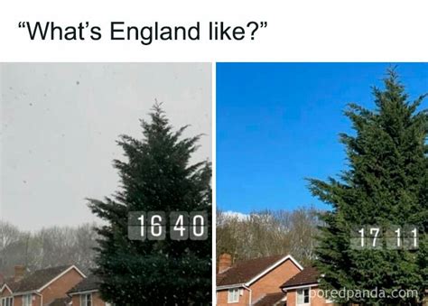 68 Hilarious And Relatable British Memes People In The Uk Might Need A