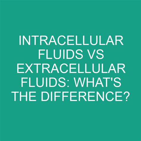 Intracellular Fluids Vs Extracellular Fluids Whats The Difference Differencess
