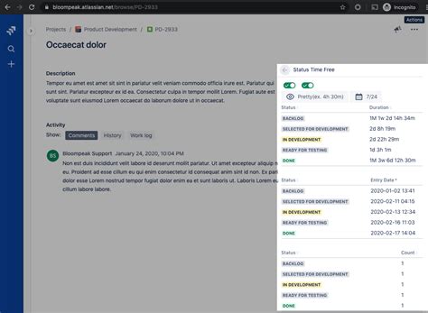 How To Download The Time In Status Report For Bugs