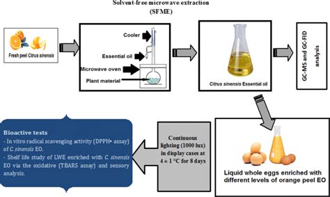 Citrus Oil Extraction Method At Zoe Walker Blog