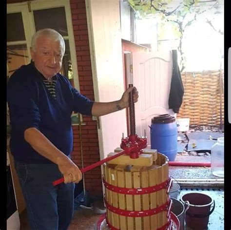 ელგუჯა აბულაძე