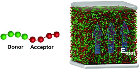 Dpd Model Of The Donor Acceptor Diblock Copolymers Confined In Thin Download Scientific Diagram