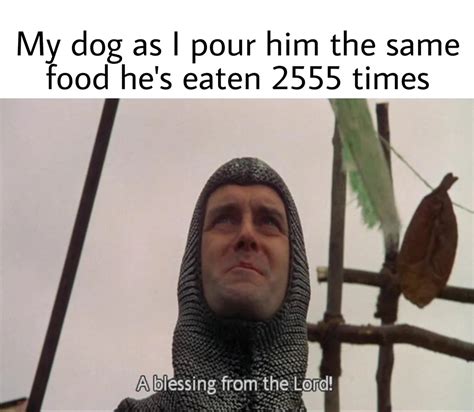 42 Monty Python And The Holy Grail Memes That Smell Of Elderberries