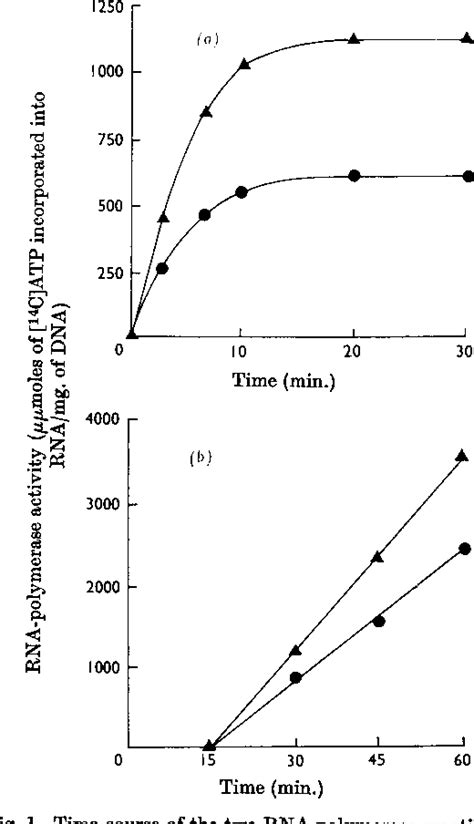Thyroidectomy Semantic Scholar