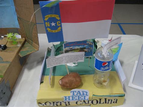 North Carolina Flag Shape Items For Elementary Schools