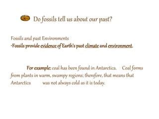 Fossils PowerPoint Ppt