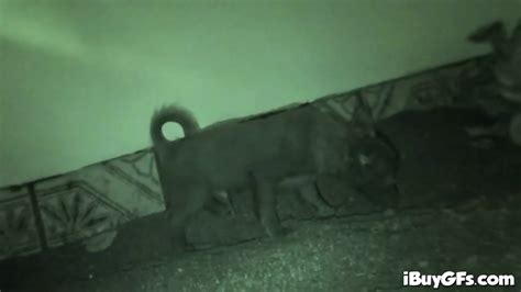 Trina Michaels Strips Off In Horny Tease