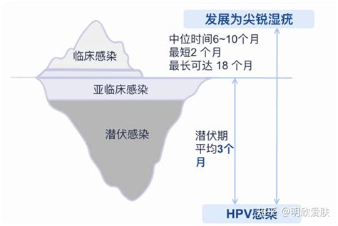 科普｜一文了解咪喹莫特！如何使用咪喹莫特治疗尖锐湿疣 知乎