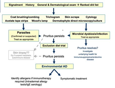 Approach To Pruritis Flashcards Quizlet Approach To Pruritis Flashcards Quizlet