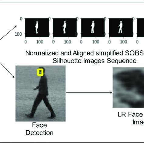 Example Of Gait Energy Image And Low Resolution Face Image Extraction