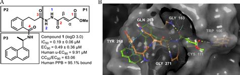Synthesis And Structure Activity Relationship Of Covalent Inhibitors Of