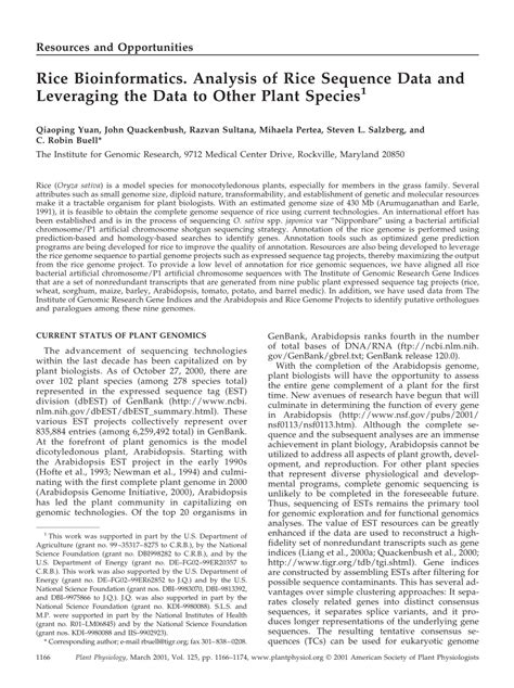 Pdf Rice Bioinformatics Analysis Of Rice Sequence Data And