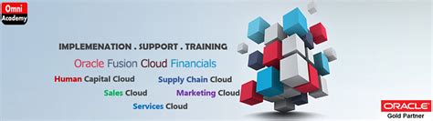 Oracle Erp Cloud Implementation Oracle Customer Support Karachi Pakistan