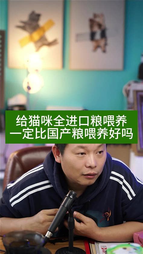 进口猫粮喂养一定好过国产猫粮吗？ 梅林布偶猫舍 梅林布偶猫舍 哔哩哔哩视频