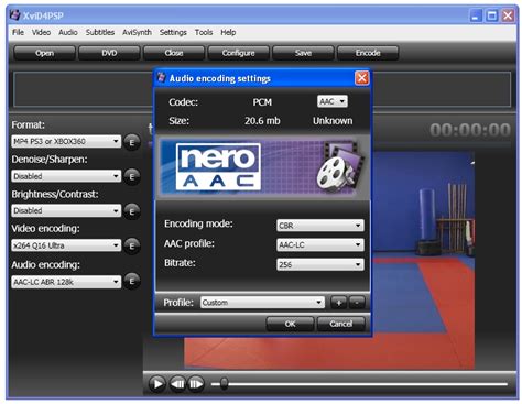 Camcorder Dv To H 264 Page 2 VideoHelp Forum
