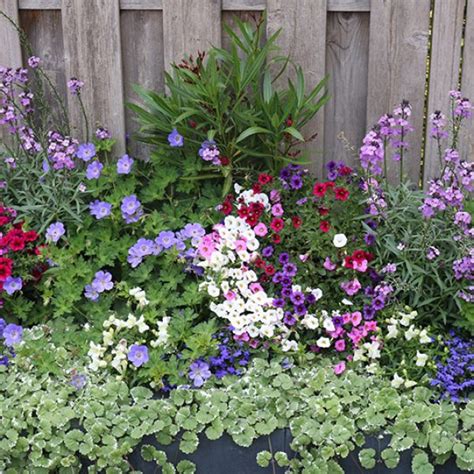 Leven Vol Liefde Herinnering Aan Een Moeder Persoonlijk Afscheid