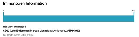 Cd63 Late Endosomes Marker Monoclonal Antibody Lamp3 4949 967 Msm18 P1abx