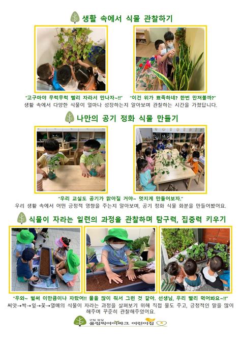 서울형 보육 서울형 모아어린이집 생태친화 실천사례 서울시 보육포털 서비스