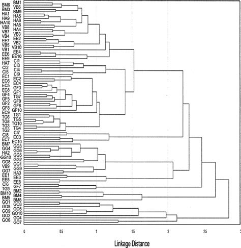 dendrogram built from the concentrations of 12 chemical elements using