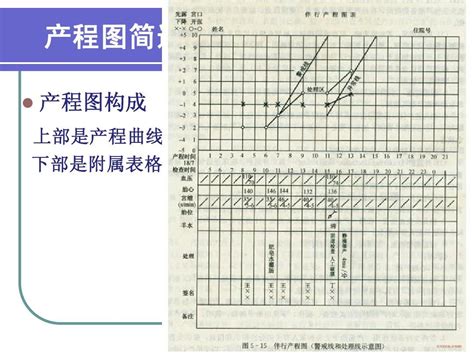 产程图 Word文档在线阅读与下载 无忧文档