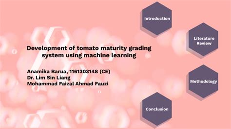Development Of Tomato Maturity Grading System Using Machine Learning By Barua Anamika On Prezi