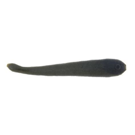 Berkley Gulp Leech 3 Black Olive Lovebackstore