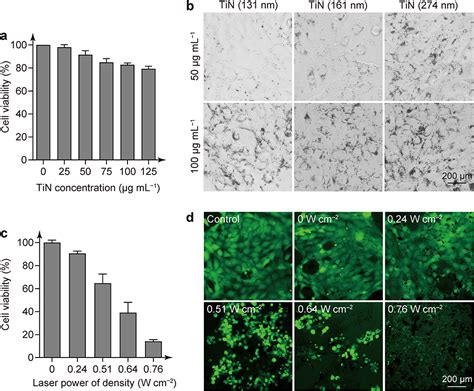 Tracing Sentinel Lymph Nodes And Inhibiting Lymphatic Metastasis With Ijn
