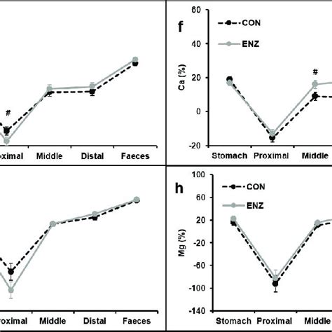 The Main Effect Of Probiotic Mix And Enzymes Cocktail Supplementation Download Scientific