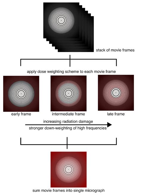 Chapter 5 Cryo Em 101