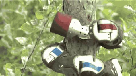 Modular Snake Robot Climbing A Tree Meme Guy