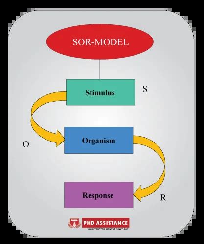 Stimulus Response Model Stimulus And Response Year 9 Science Any