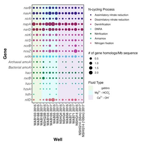 FIGURE Dotplot Of Abundances Of Key N Cycling Genes Where The Colors Download Scientific