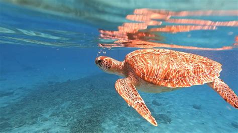 Building Cloud Resources With Aws Cdk By Kyle Jones Medium