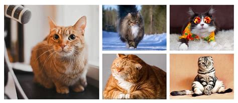 Как создать сетки на Css Grid Layout — журнал Доктайп