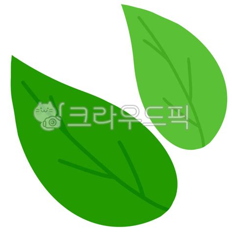 나뭇잎 나뭇잎일러스트 나뭇잎그림 나뭇잎요소 나뭇잎모양 사진 이미지 일러스트 캘리그라피 효푸작가