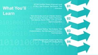 ISTQB Advanced Test Manager Training PPTX