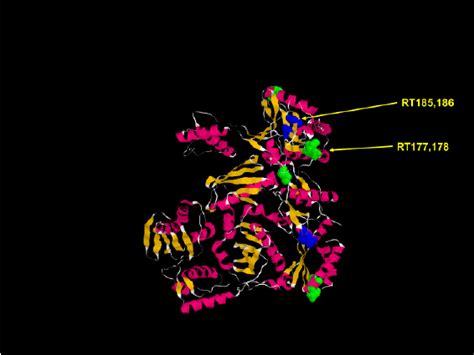Ribbon Diagram Of Reverse Transcriptase Identifying Key Positions Download Scientific Diagram