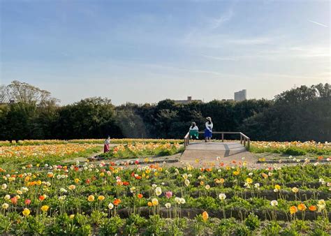 Guide To Expo 70 Commemorative Park