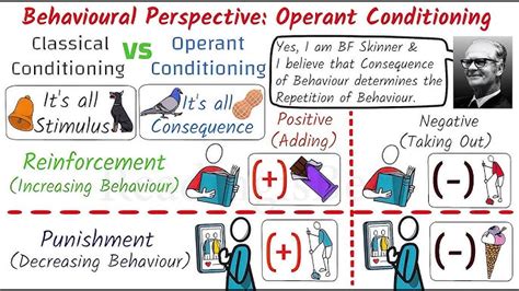 Behavioral Theory Skinner