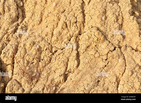 Above View Of Dry Natural Rock Or Stone Surface As Background Concept Of Ground Texture Stock