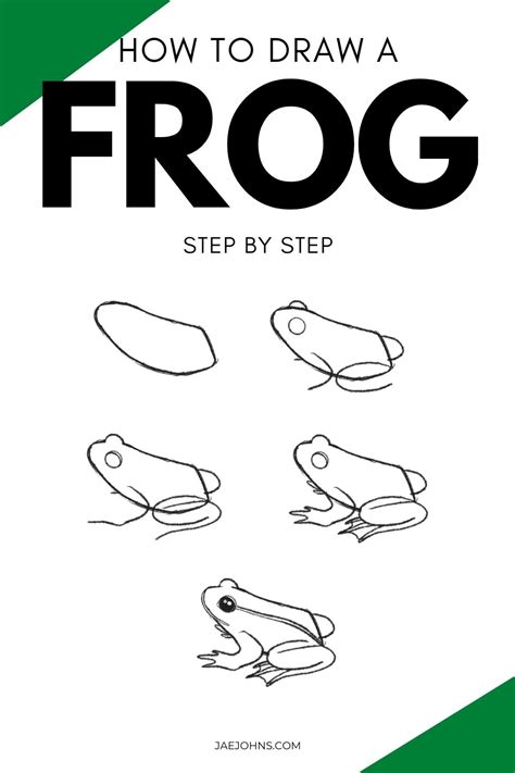 How To Draw A Realistic Frog Step By Step