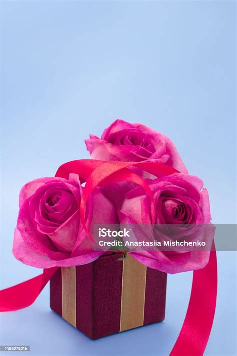 파란색 배경에 분홍색 장미가 있는 상자 세로 생일 2 월 14 일 국제 여성 어머니의 날 및 3 월 8 일 복사 공간 Day 8에 대한 스톡 사진 및 기타 이미지 Istock