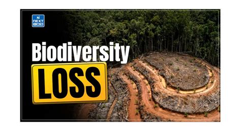 Biodiversity Loss Meaning Causes And Consequences