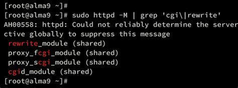 How To Install Nagios Core Monitoring On Almalinux 9