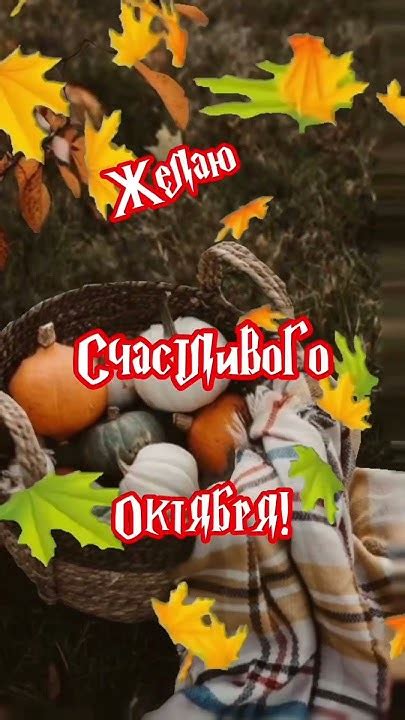 Следующая остановка Октябрь Youtube